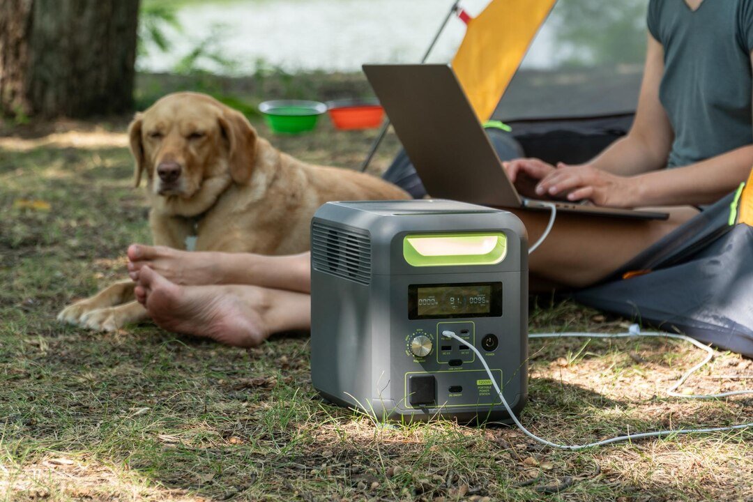 Power Station for Beginners: Watts, Watt-Hours Explained